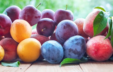 Steenfruit-informatie | FRUIT OP JE WERK